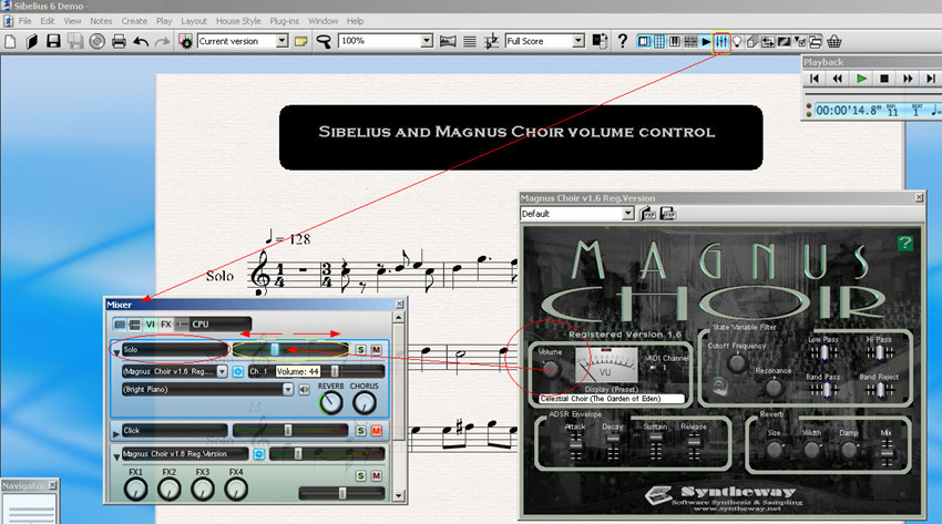 Avid Sibelius and Magnus Choir VST Installation. Setup and Settings